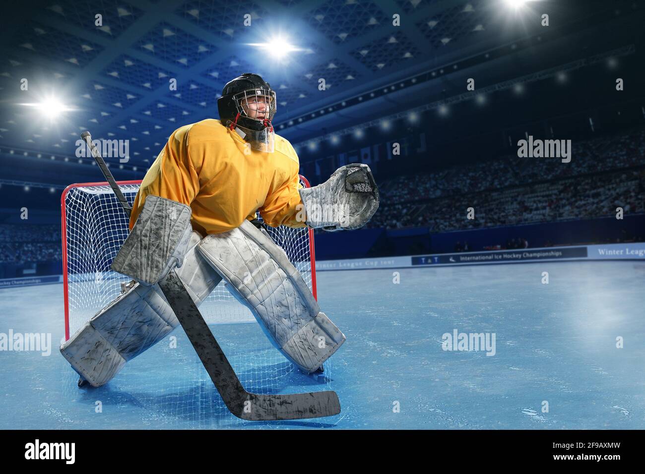 Hockey goalie padding hi-res stock photography and images - Alamy