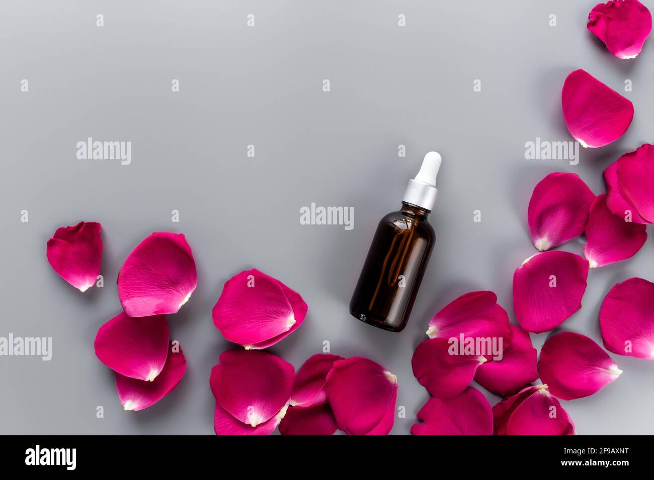 Bottle of rose essential oil with group of red rose petals on gray ...