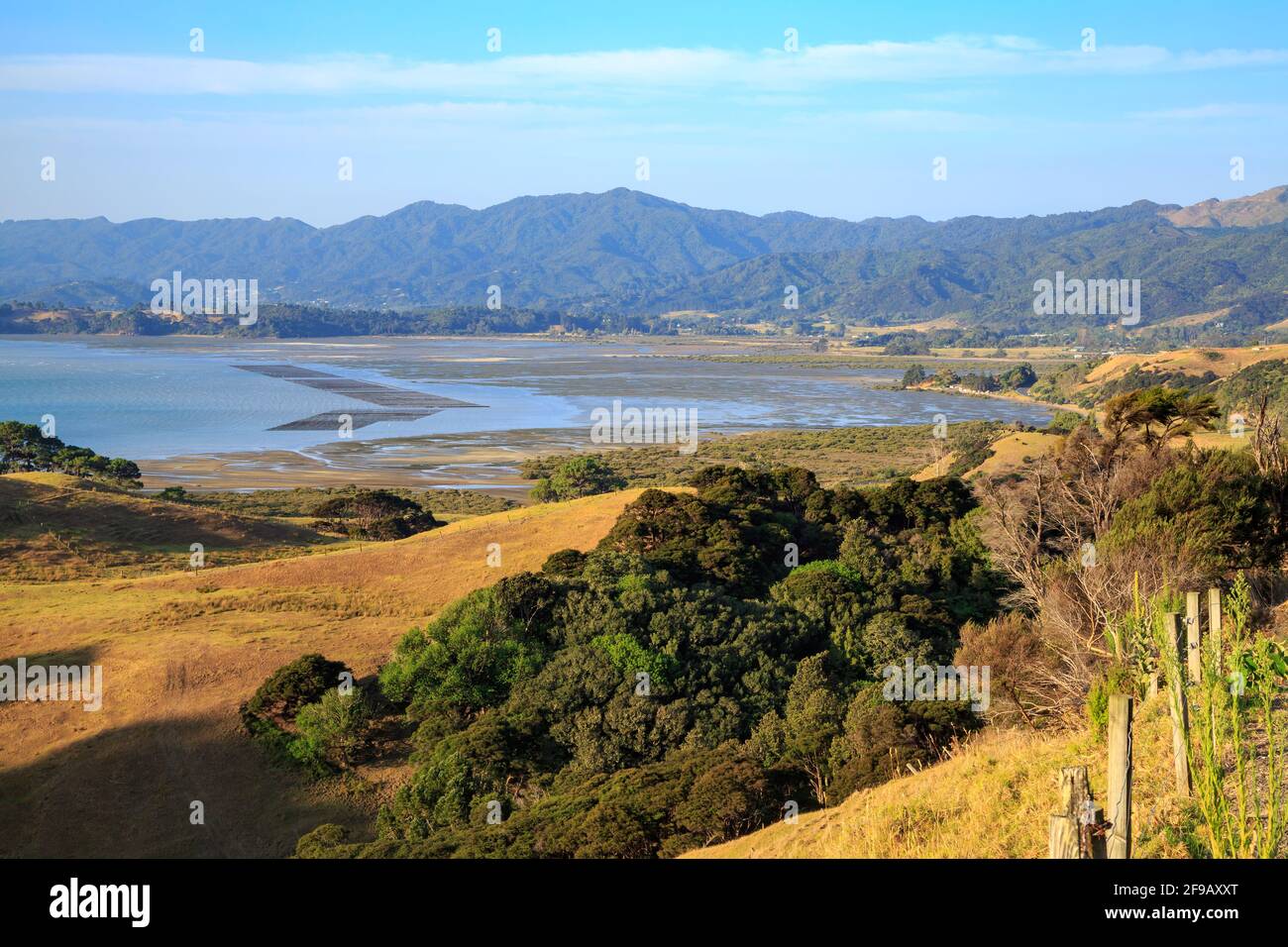Coromandel Harbour on the Coromandel Peninsula, New Zealand. The dark ...