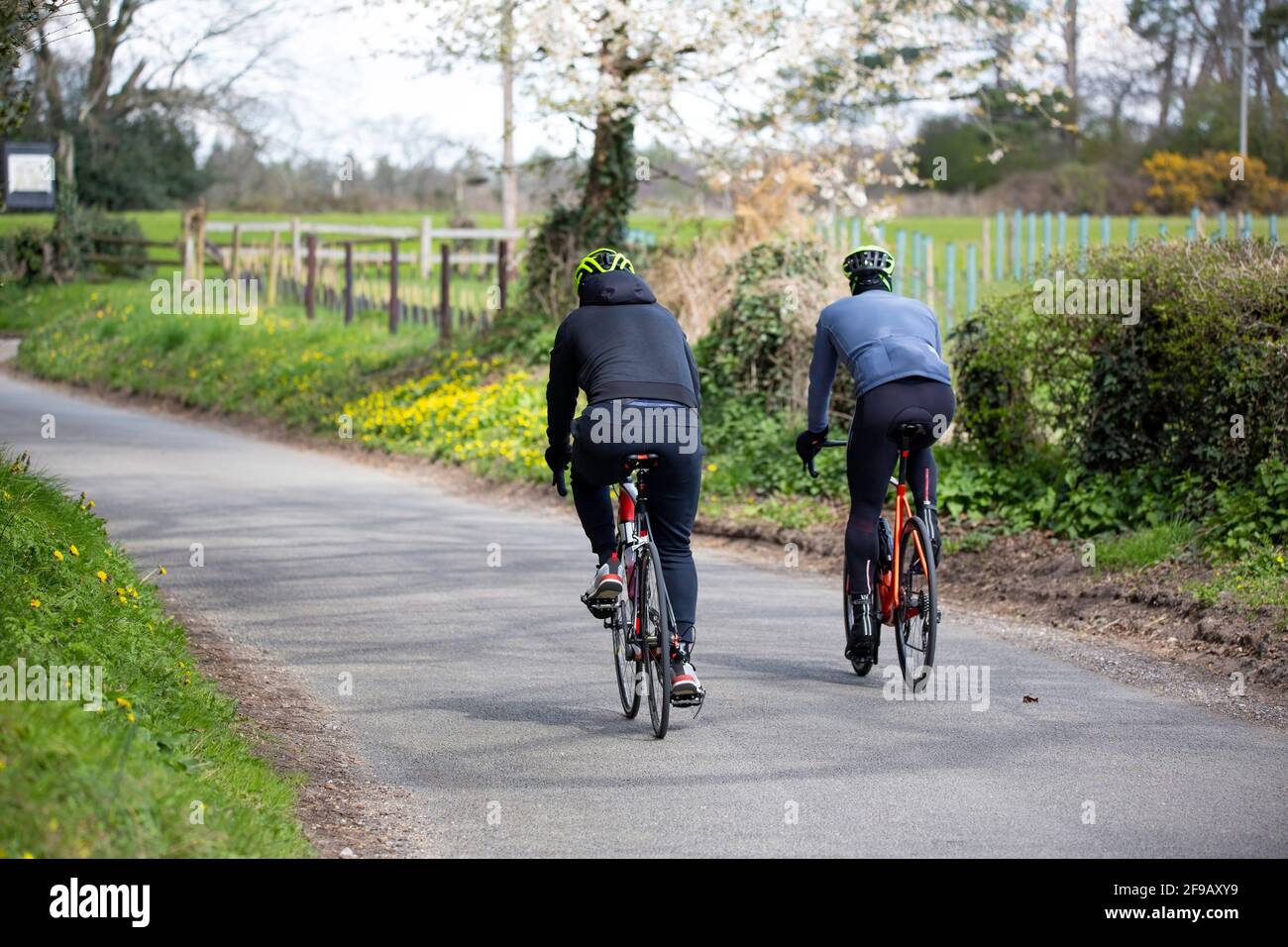 Two cyclists riding together on an English countryside road Stock Photo ...