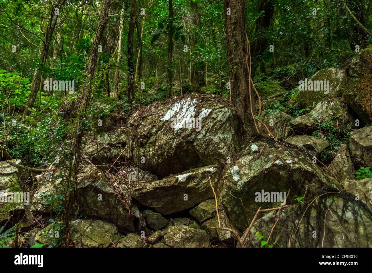 Mitchell rocks hi-res stock photography and images - Alamy
