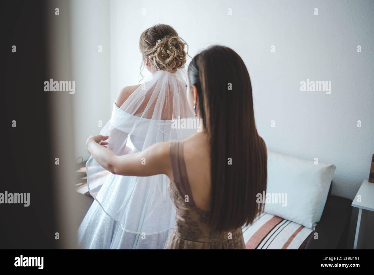 Back view of a bridesmaid fixing the veil of the bride Stock Photo - Alamy