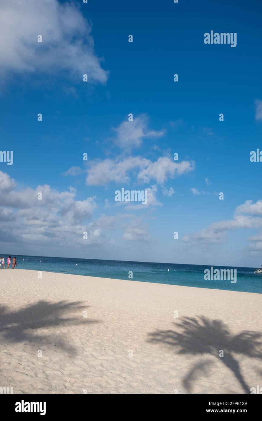Palm Beach Aruba, Amazing tropical beach with palm trees entering the ...
