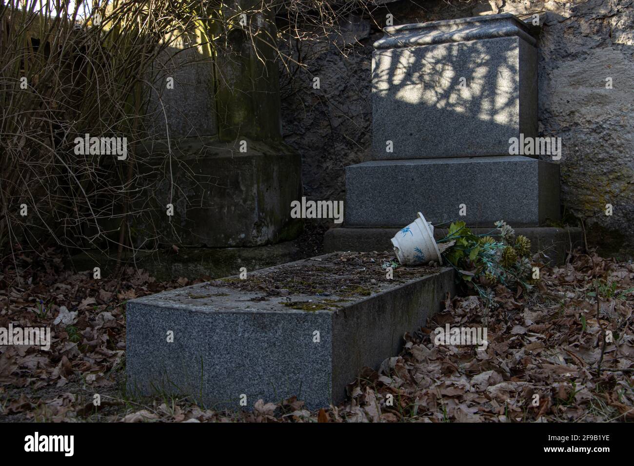 Pot Plant Fallen High Resolution Stock Photography and Images - Alamy