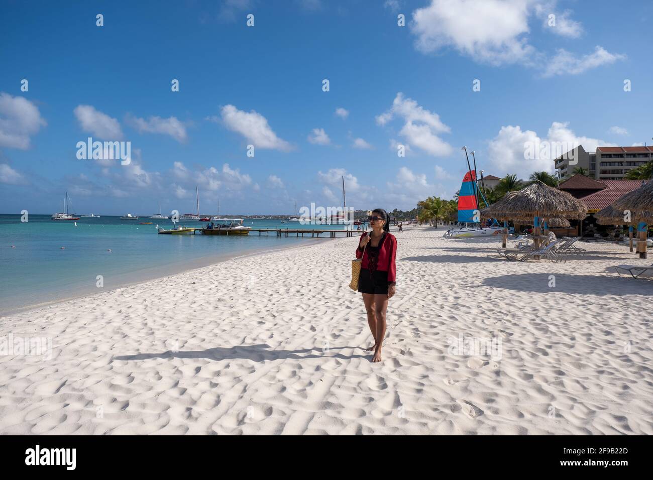 Palm Beach Aruba, Amazing tropical beach with palm trees entering the ...