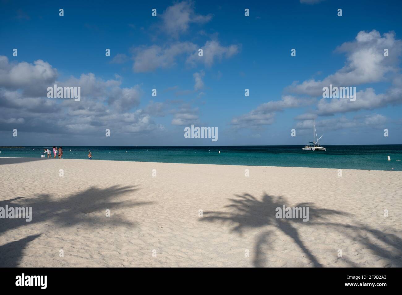 Palm Beach Aruba, Amazing tropical beach with palm trees entering the ...