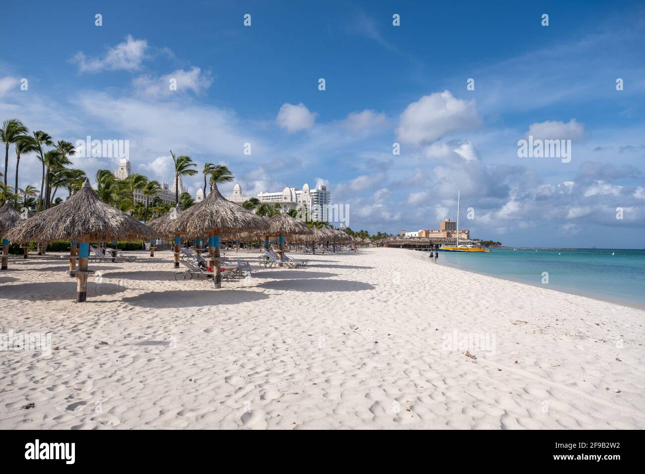 Palm Beach Aruba, Amazing tropical beach with palm trees entering the ...