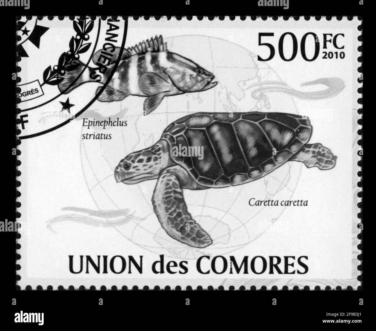 Comoros Fish High Resolution Stock Photography and Images - Alamy