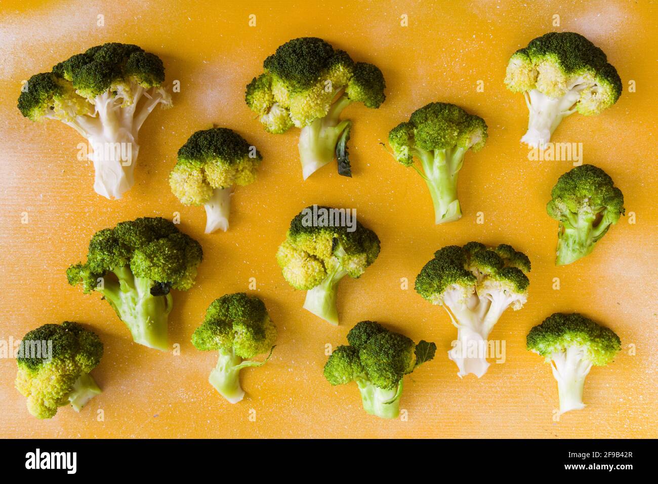 Vegetable like a tree, broccoli forests on the background, high angle ...