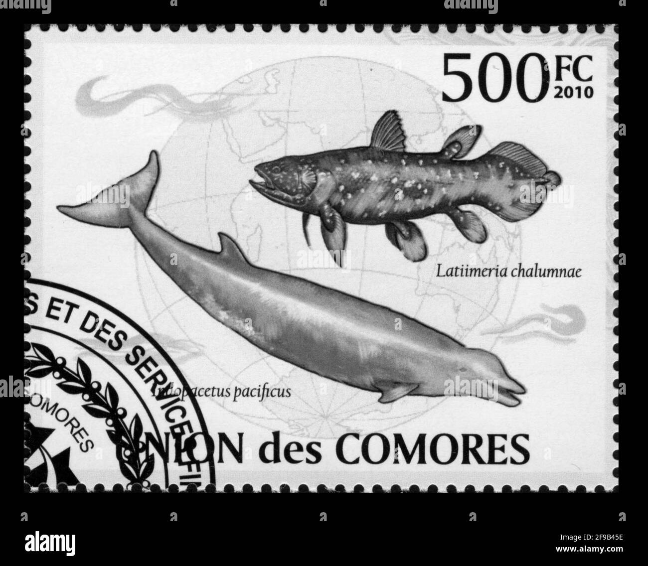 Marine animals Black and White Stock Photos & Images - Alamy