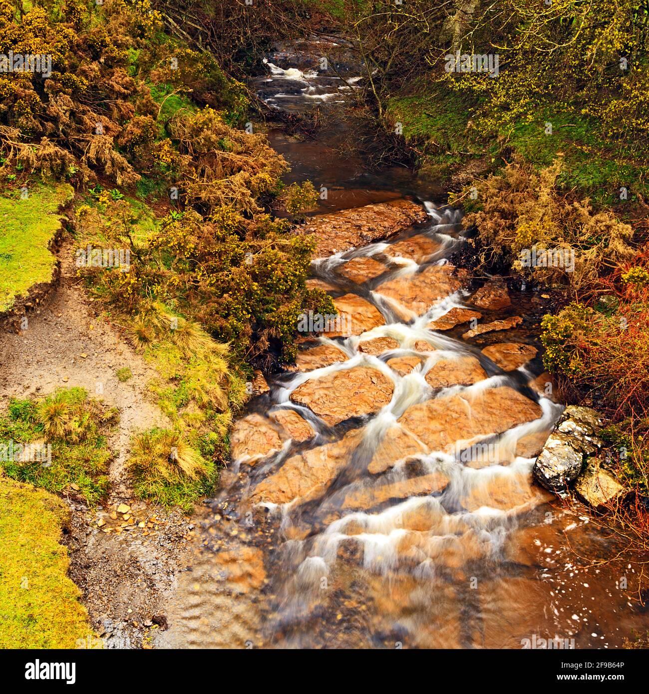 Cropton banks hi-res stock photography and images - Alamy