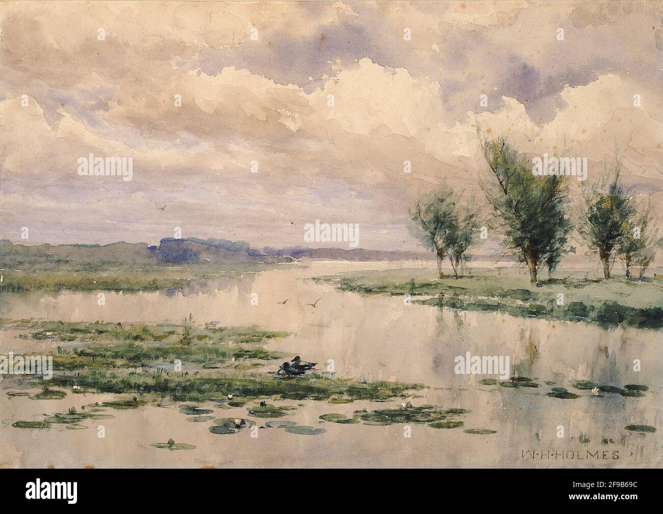 Washington dc painting plant tree hi-res stock photography and images ...