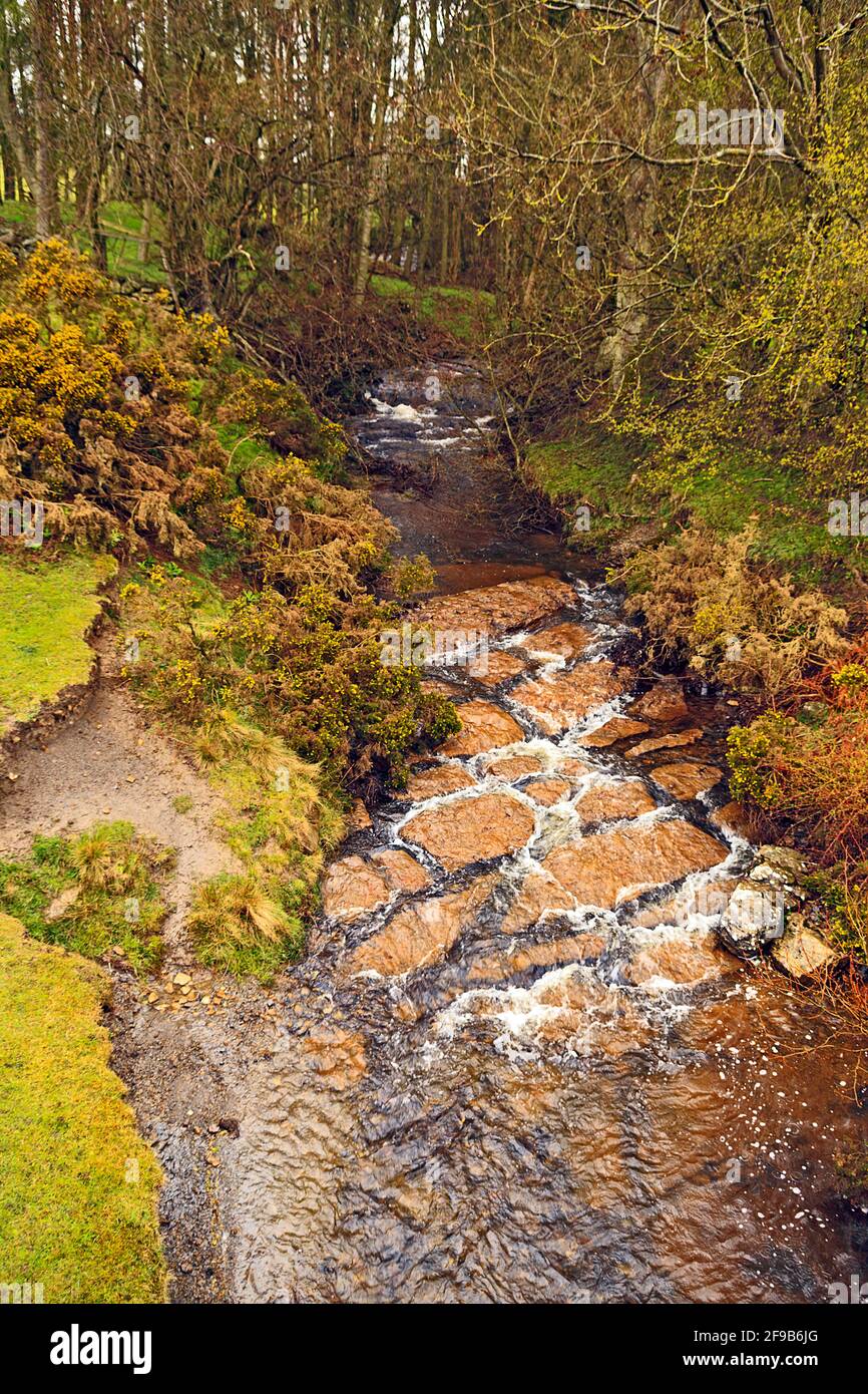 North yorkshire stepping stones hi-res stock photography and images - Alamy