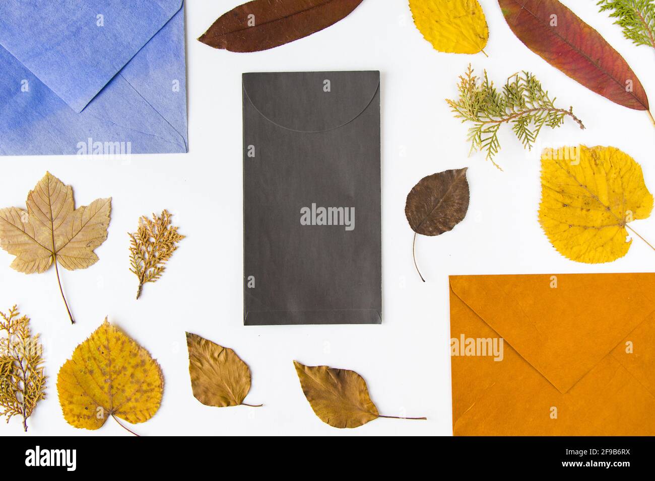 Top view of colorful envelopes and autumn leaves on a white background ...
