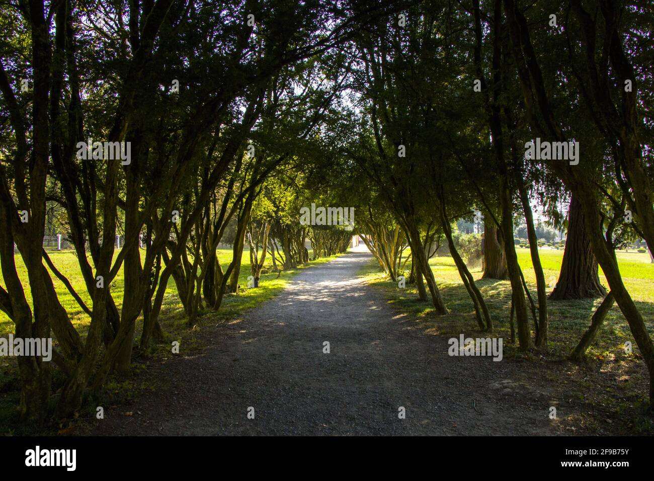 Natural view unpaved pathway hi-res stock photography and images - Alamy