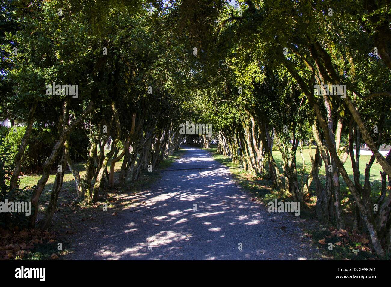 Natural view unpaved pathway hi-res stock photography and images - Alamy
