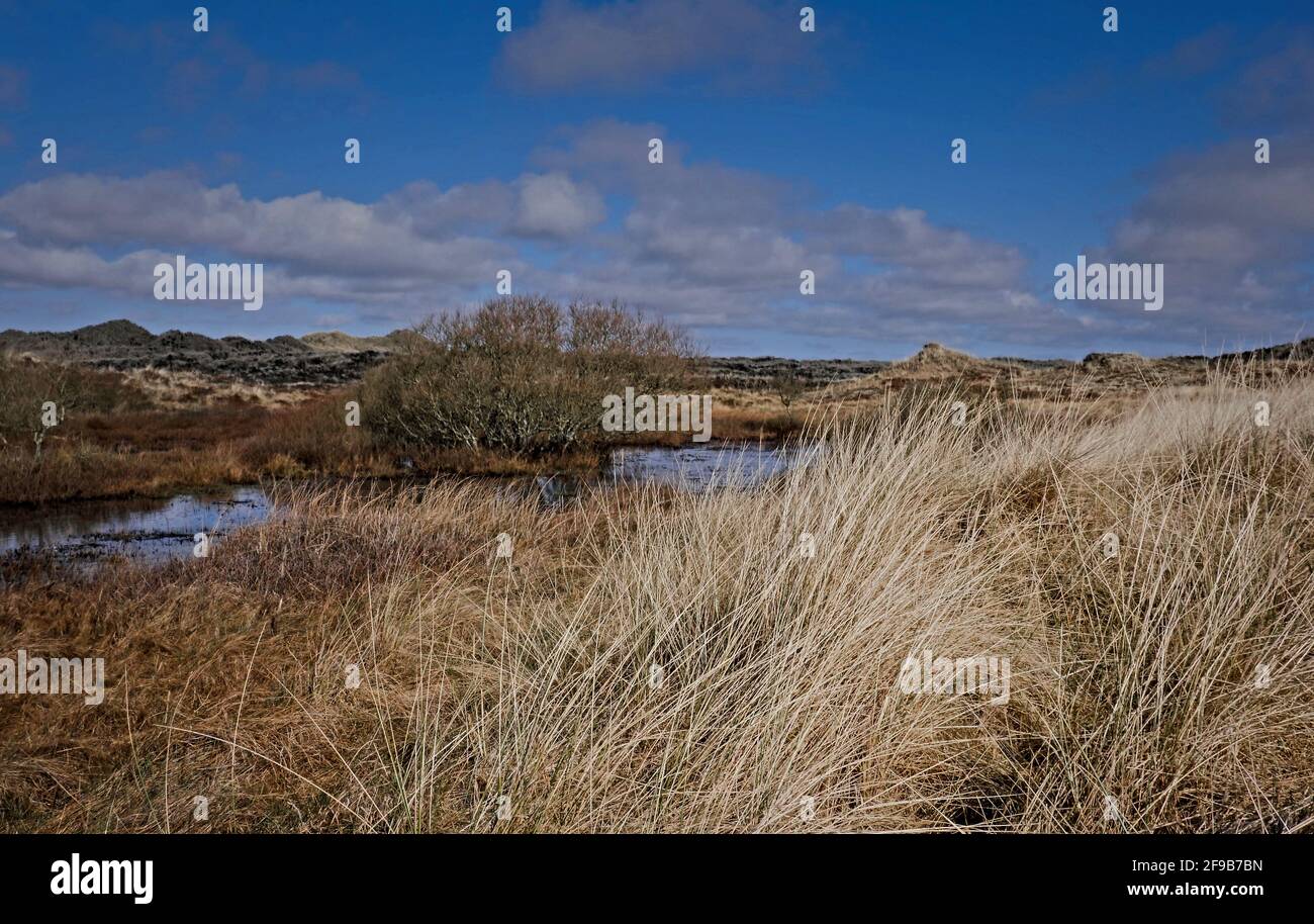 Reserve Nature Reserve High Resolution Stock Photography and Images - Alamy