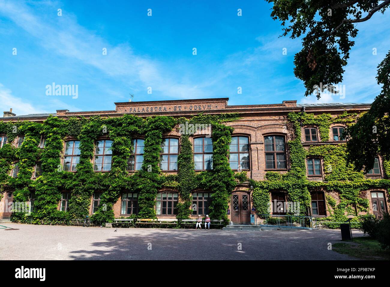 Lund, Sweden - August 30, 2019: Old classic facade with creeping plants ...
