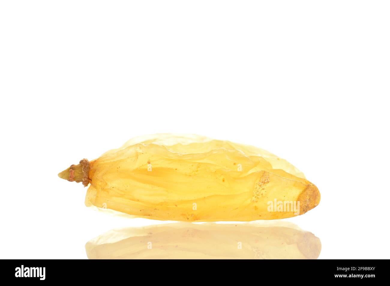 One berry of golden, sweet, organic, natural, dried raisins, macro, on ...