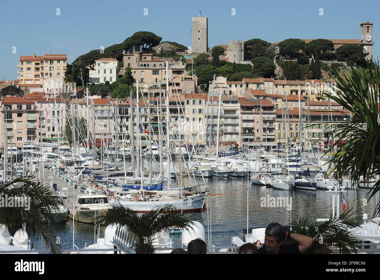 Cannes, France. 16 May 2011 Photocall for film The Tree of Life during ...