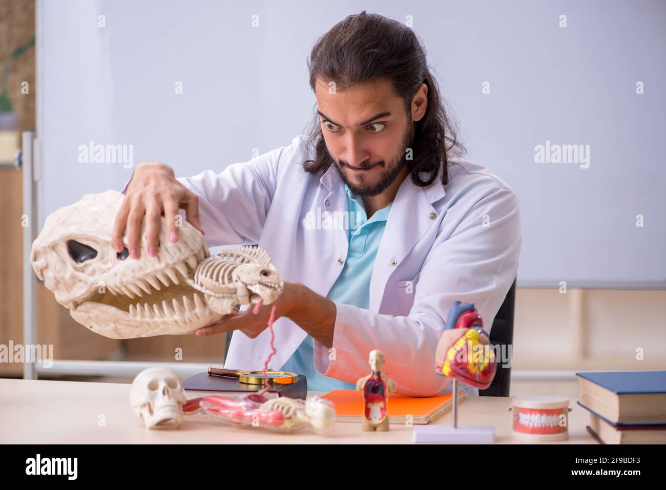 Young paleontologist in front of the whiteboard Stock Photo - Alamy