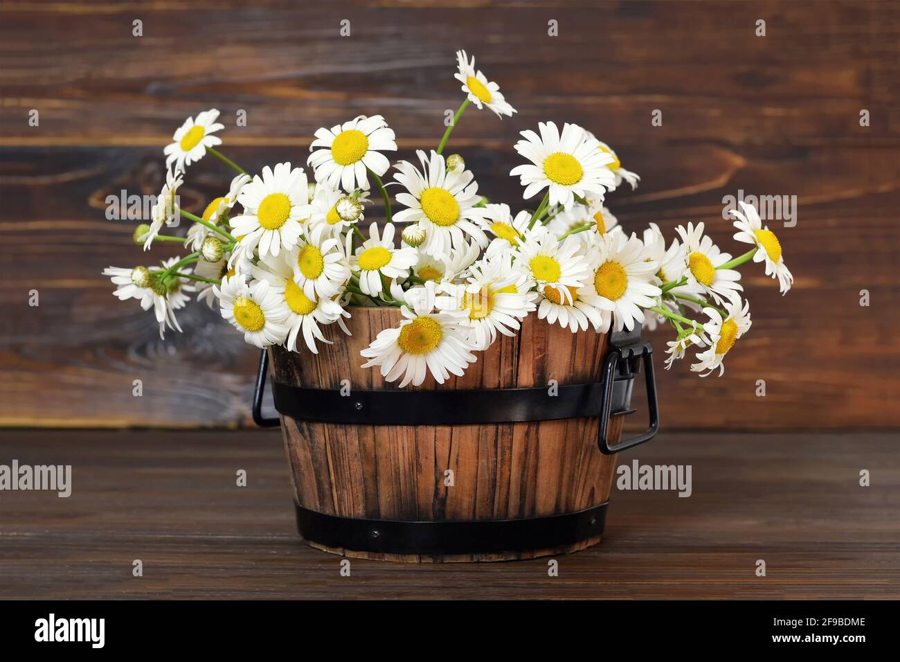 Bouquet of daisy flowers in a bucket hi-res stock photography and ...