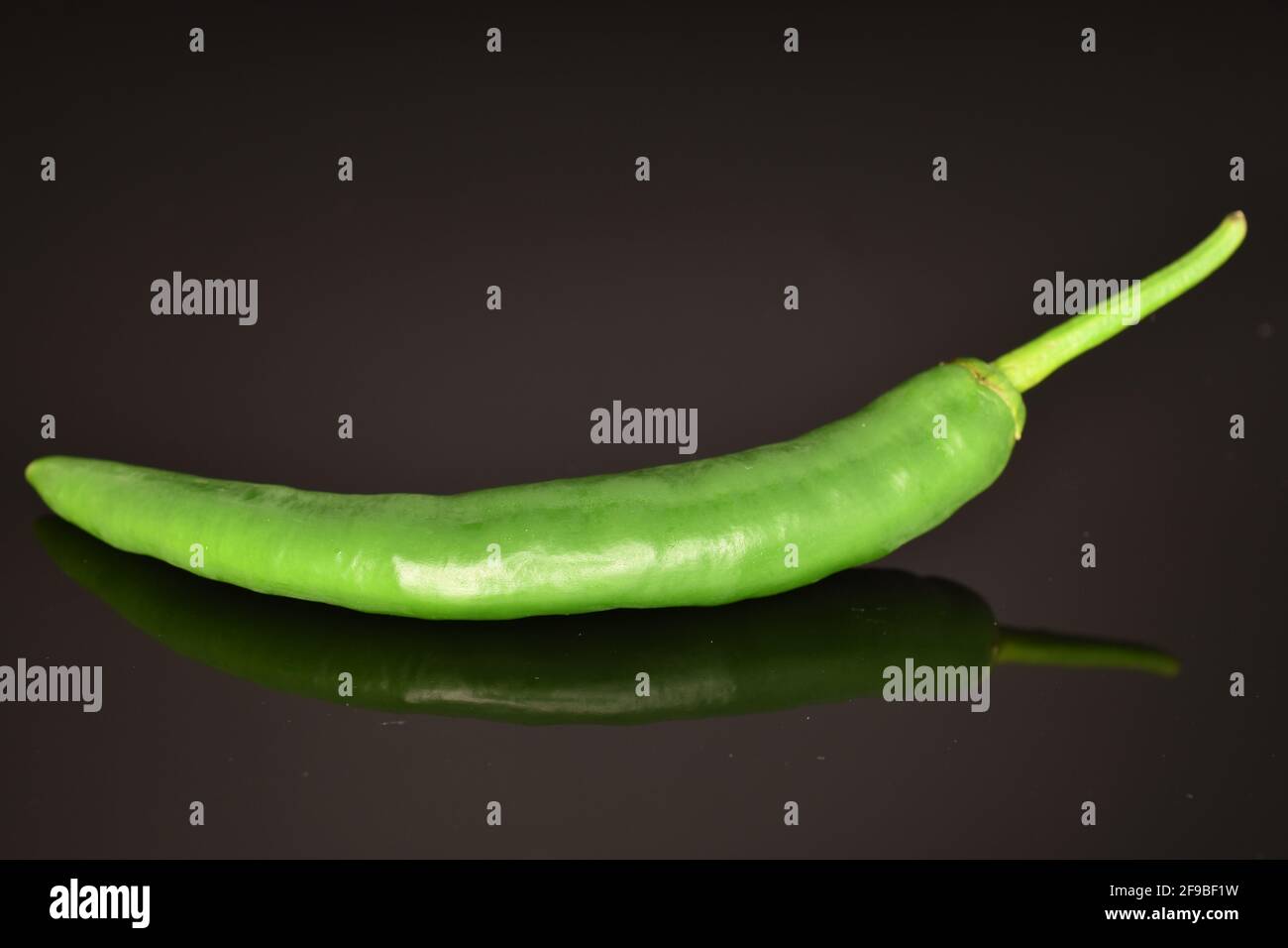 One dark green organic, natural, spicy, hot pepper pod on a black ...