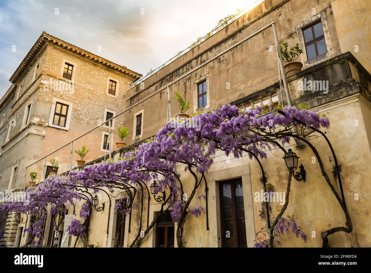Old stone building with narrow windows and purple lilac decorations ...