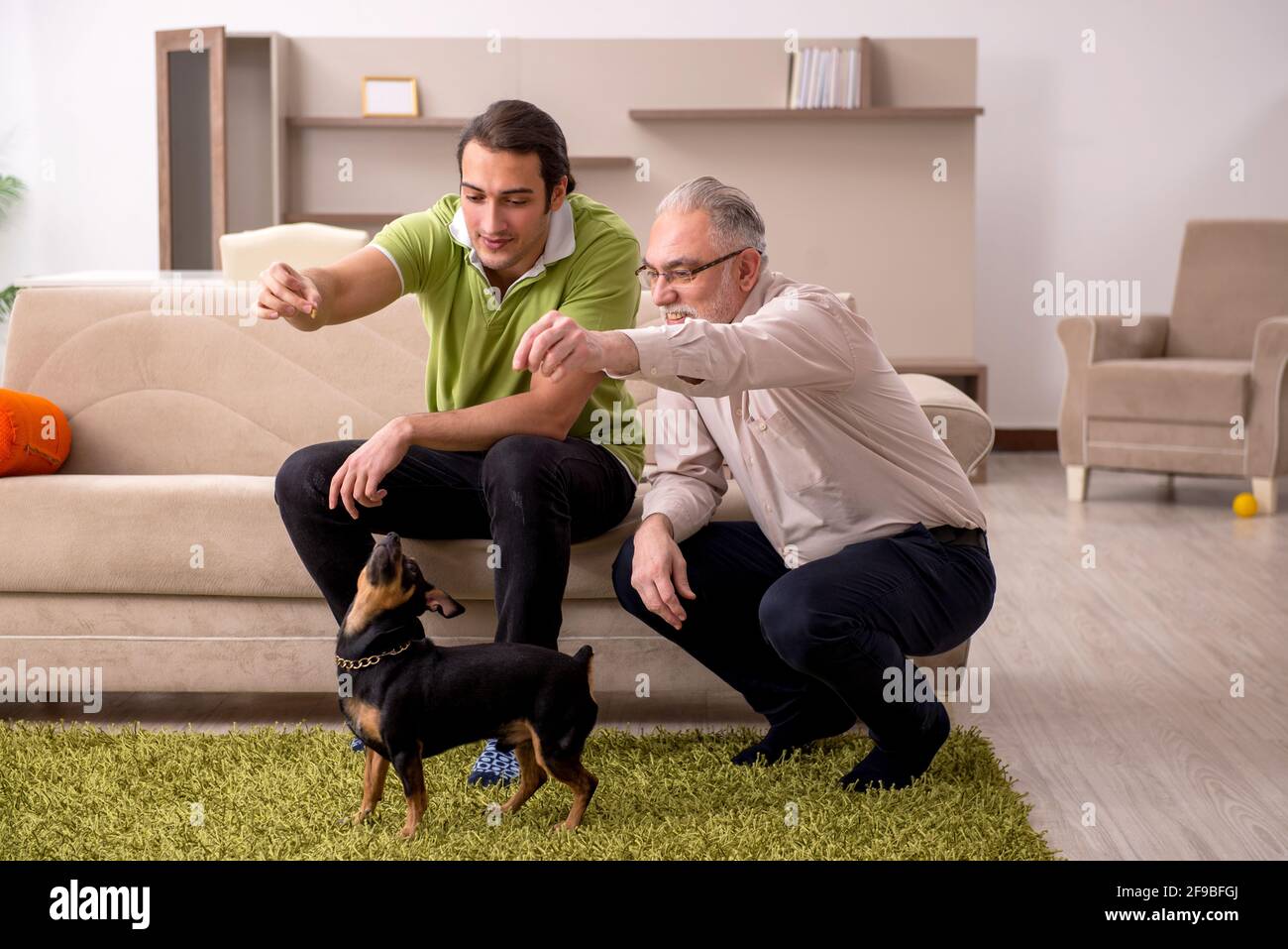 Two men with dog in the room Stock Photo - Alamy