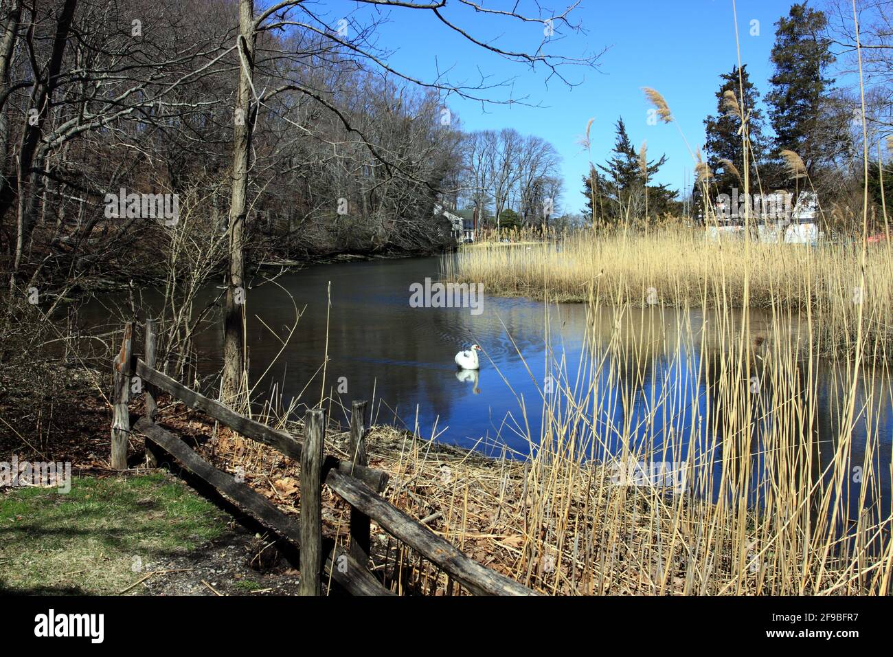 Stony Brook Creek Long Island New York Stock Photo - Alamy