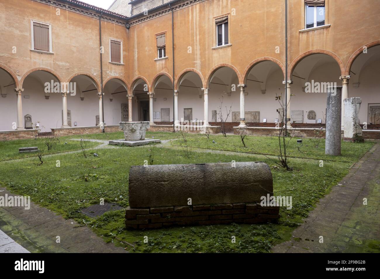 Ravenna grass hi-res stock photography and images - Alamy