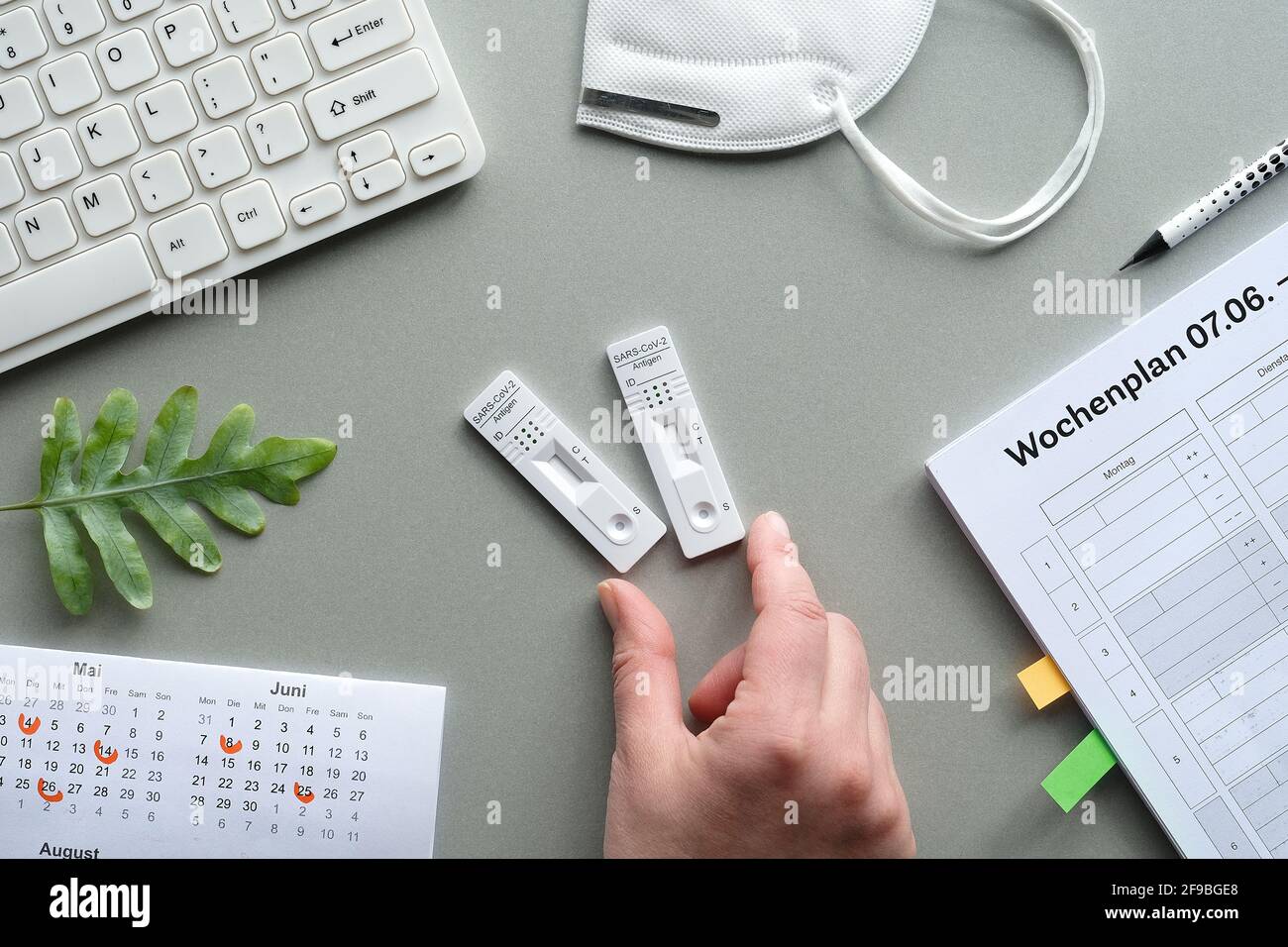 Back to school or university with express coronavirus tests. Two rapid ...