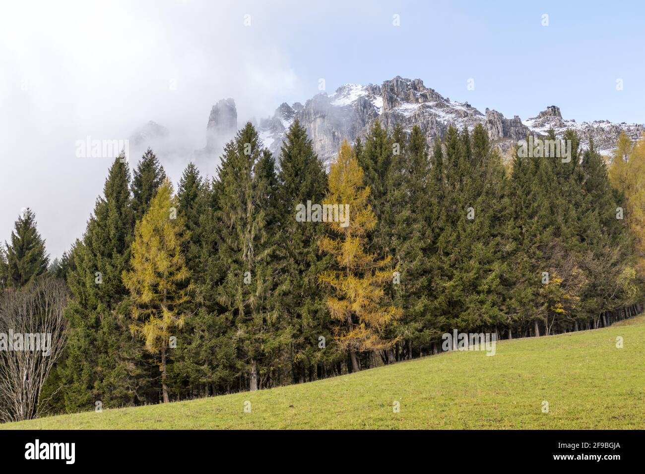 Scenic shot of a beautiful mountain forest with snowy mountain field in ...