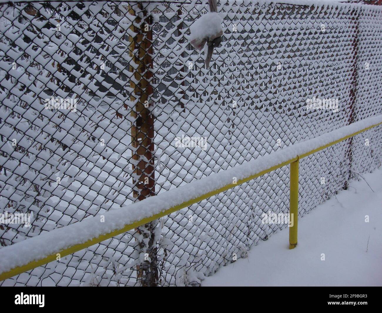 Snowy environment in the morning, winter concept, frozen and snow ...