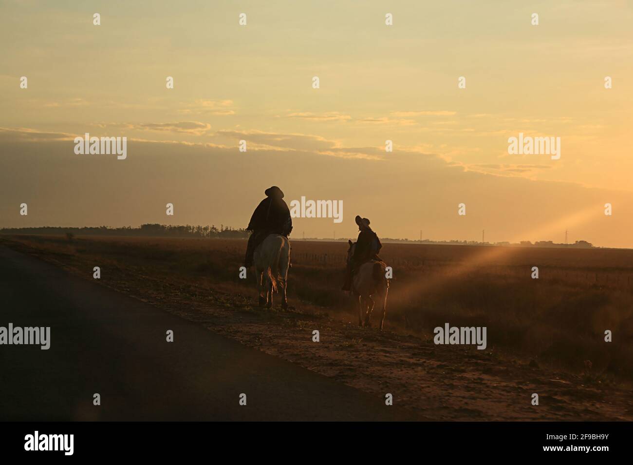 people riding horses in the field at sunset Stock Photo - Alamy