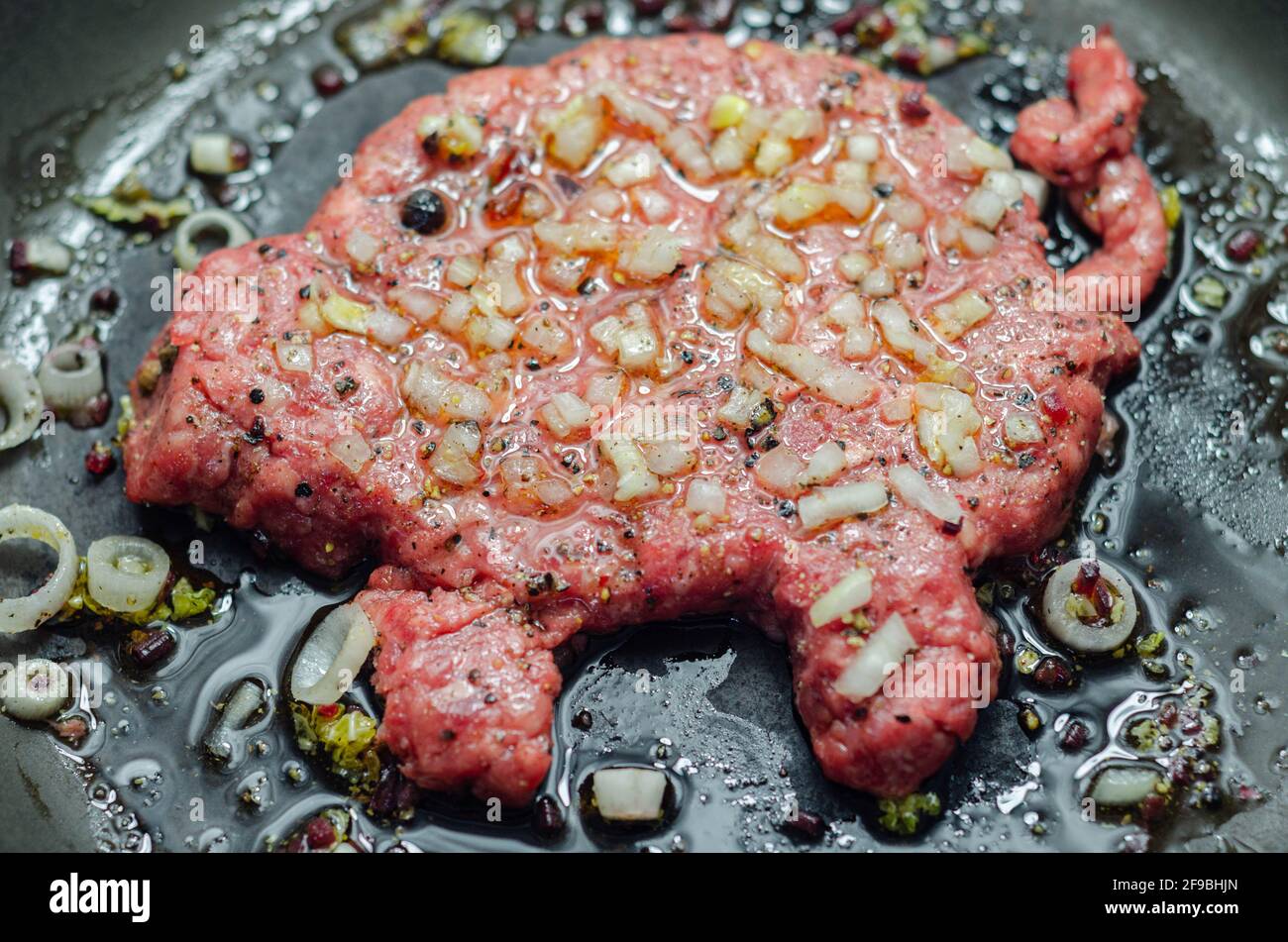 Minced meat with fresh spring onions and spices in the shape of a pig ...