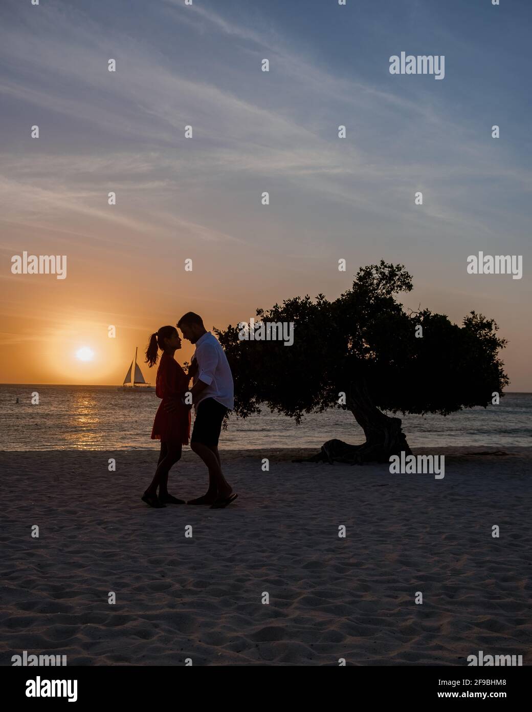 Sunset at Eagle Beach Aruba, Divi Dive Trees on the shoreline of Eagle ...