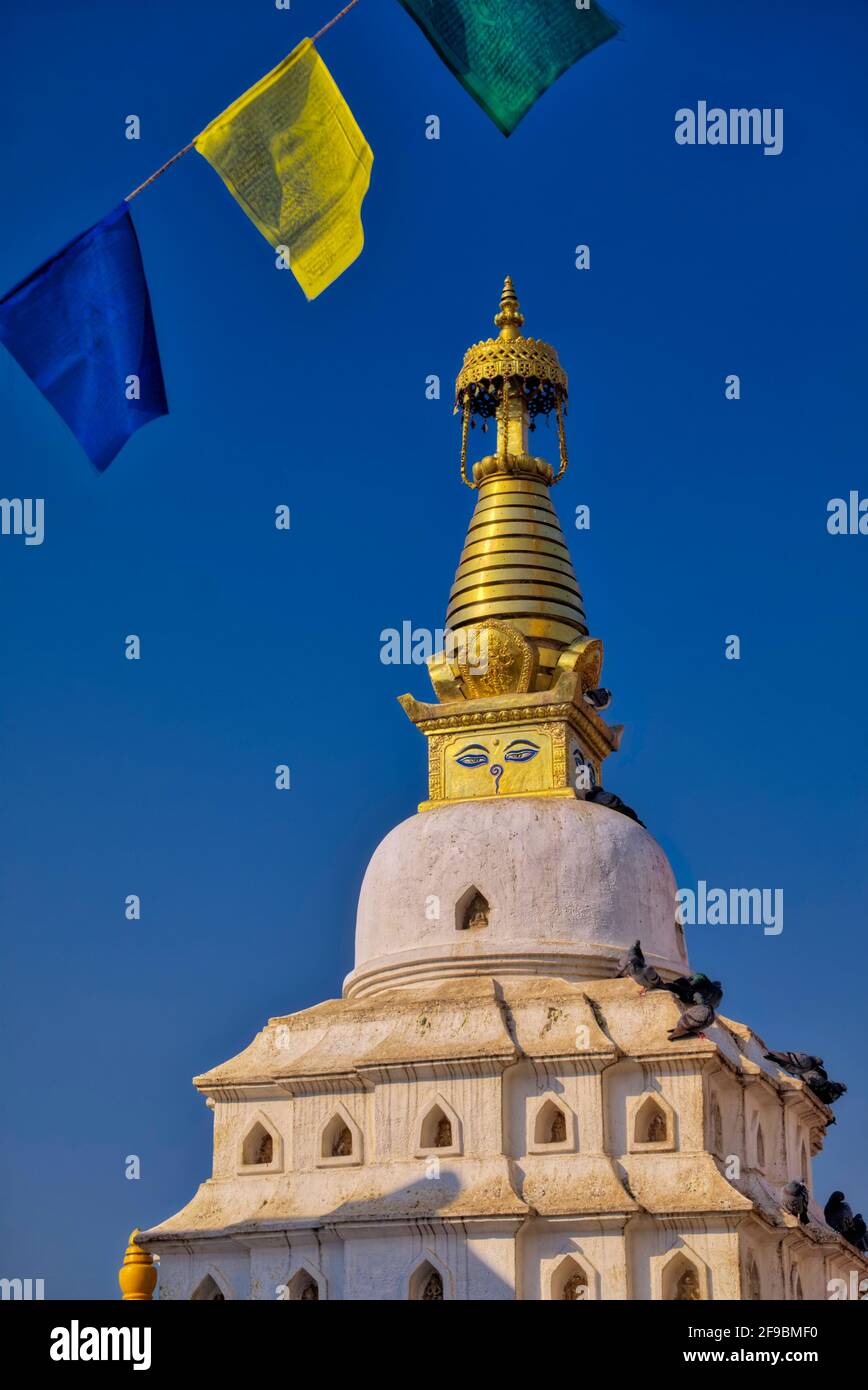 The nose-like structure in between the pair of eyes is the Nepali ...