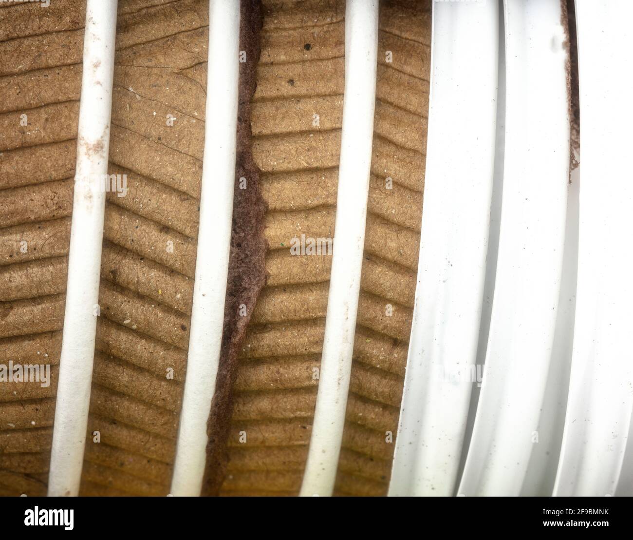 Found still life of discarded drinks containers, symbolising waste ...