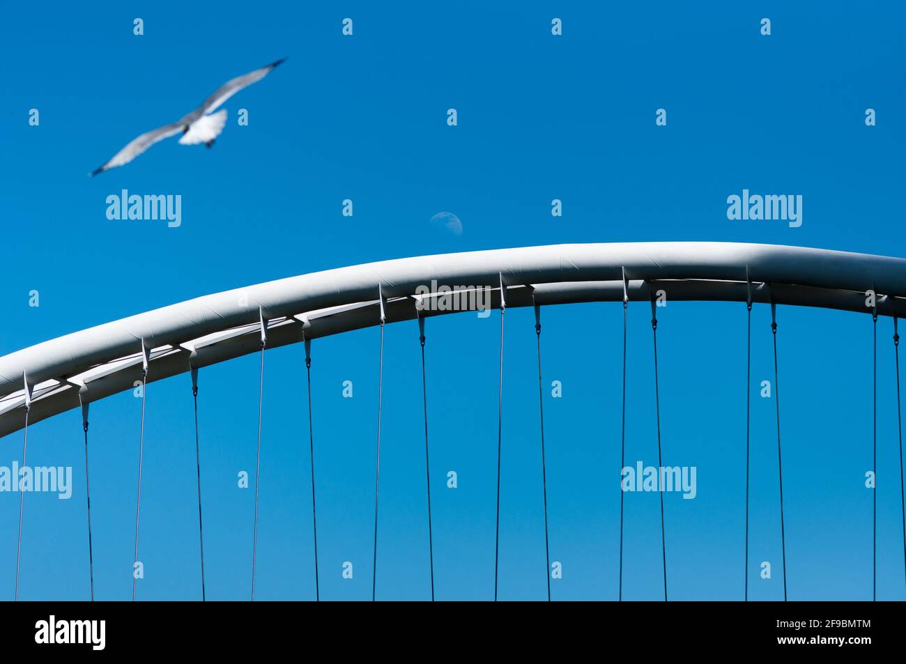 Humber Bay Arch Bridge (Humber River Pedestrian Bridge), Toronto ...