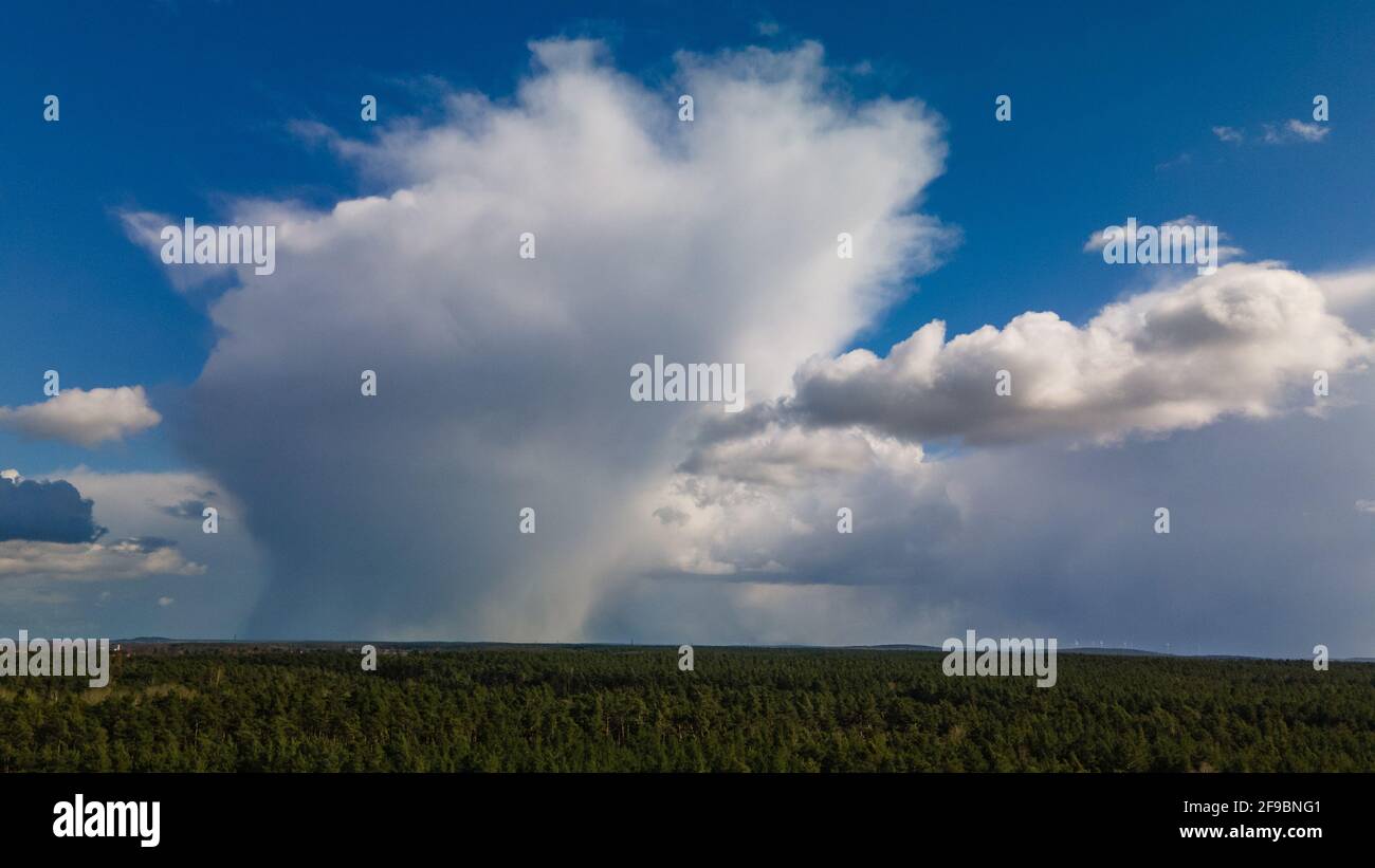Beautiful shot of forest trees on background of the stormy clouds in ...