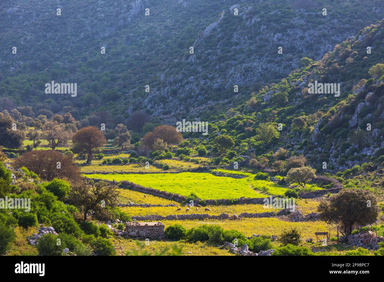 Green spring fields in Turkey mountains Stock Photo - Alamy