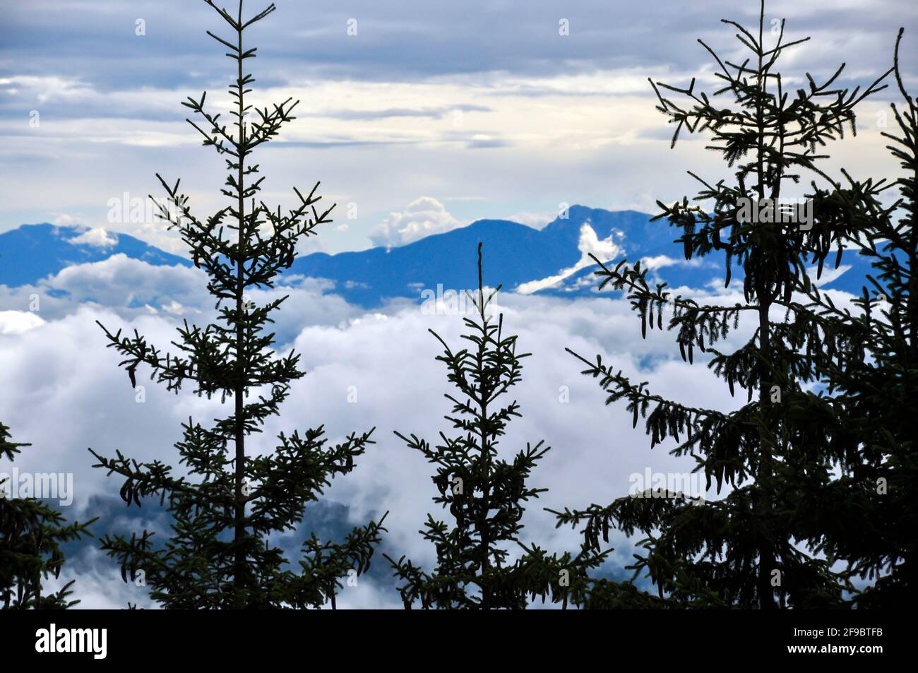 White unique tree beautiful mountain hi-res stock photography and ...