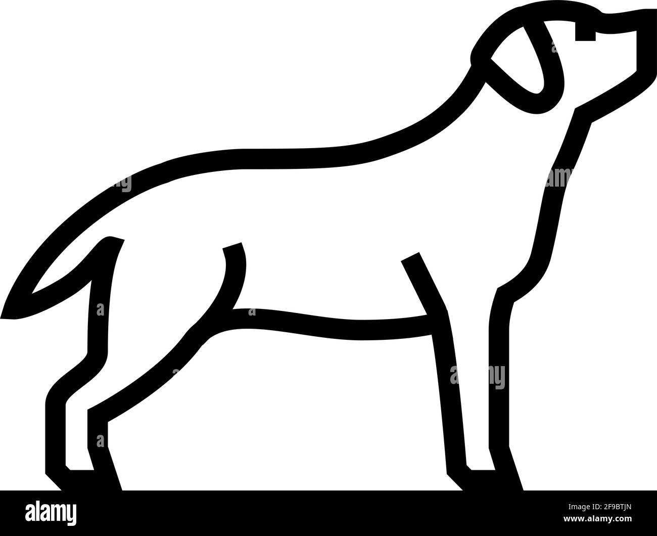labrador retriever dog line icon vector illustration Stock Vector Image ...