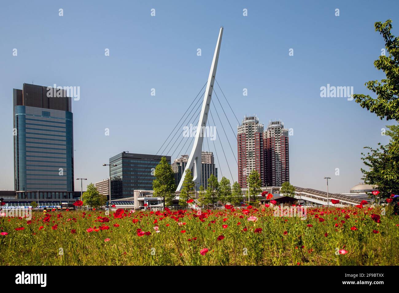 Pillar of Teleport Bridge and surrounding hypermodern buildings behind ...