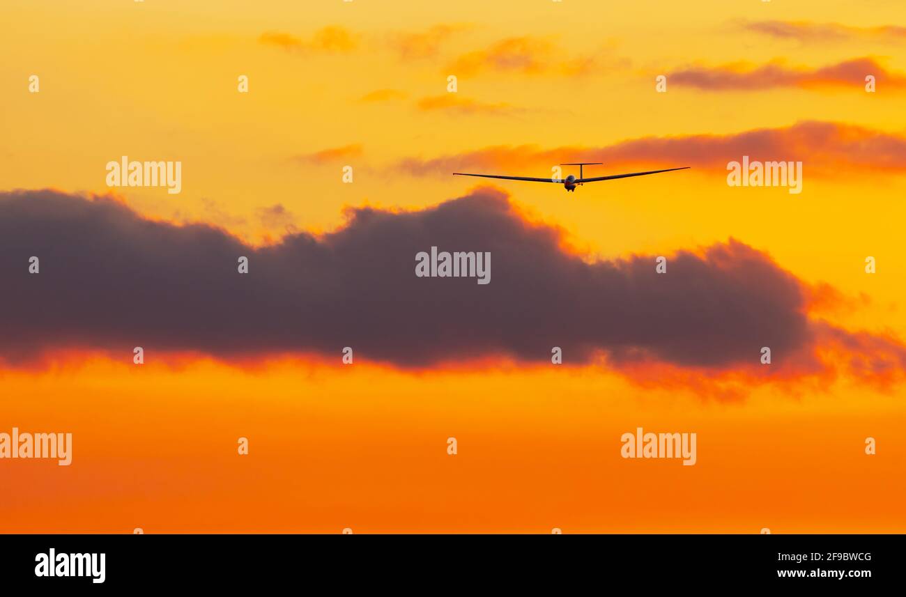 An ASK21 glider sailplane landing at the end of a days flying in the ...