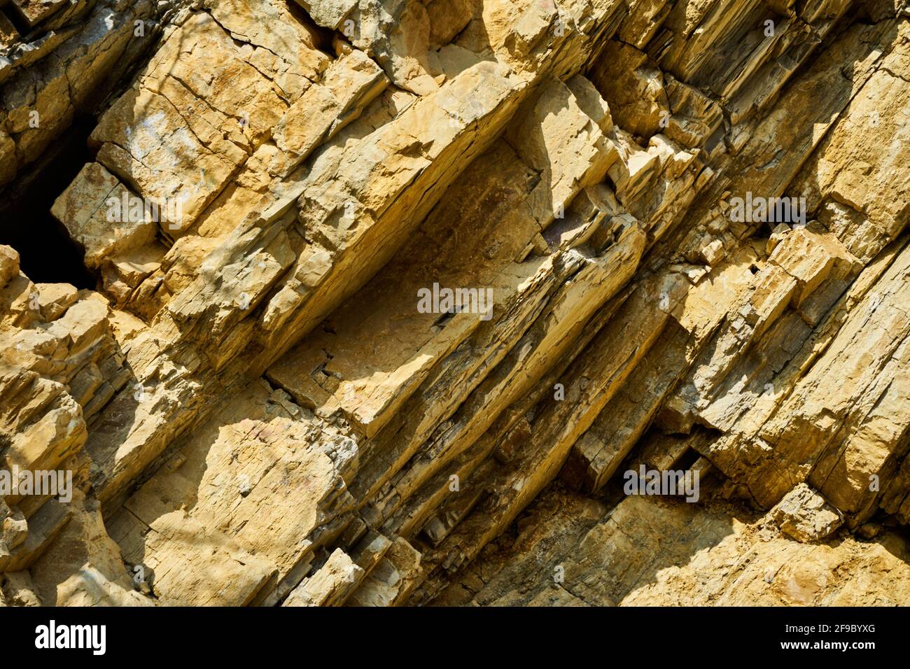Layers of limestone plates in the Germanic Triassic of the Harz ...