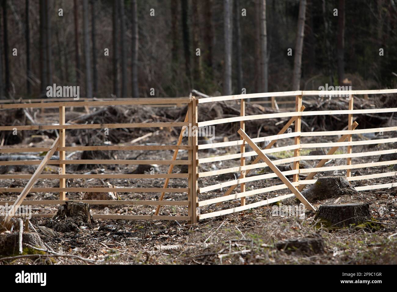 Protect young trees hi-res stock photography and images - Alamy