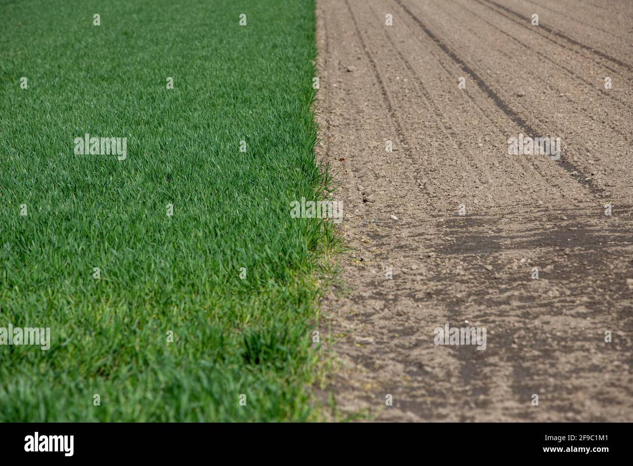 Harrowed field hi-res stock photography and images - Alamy