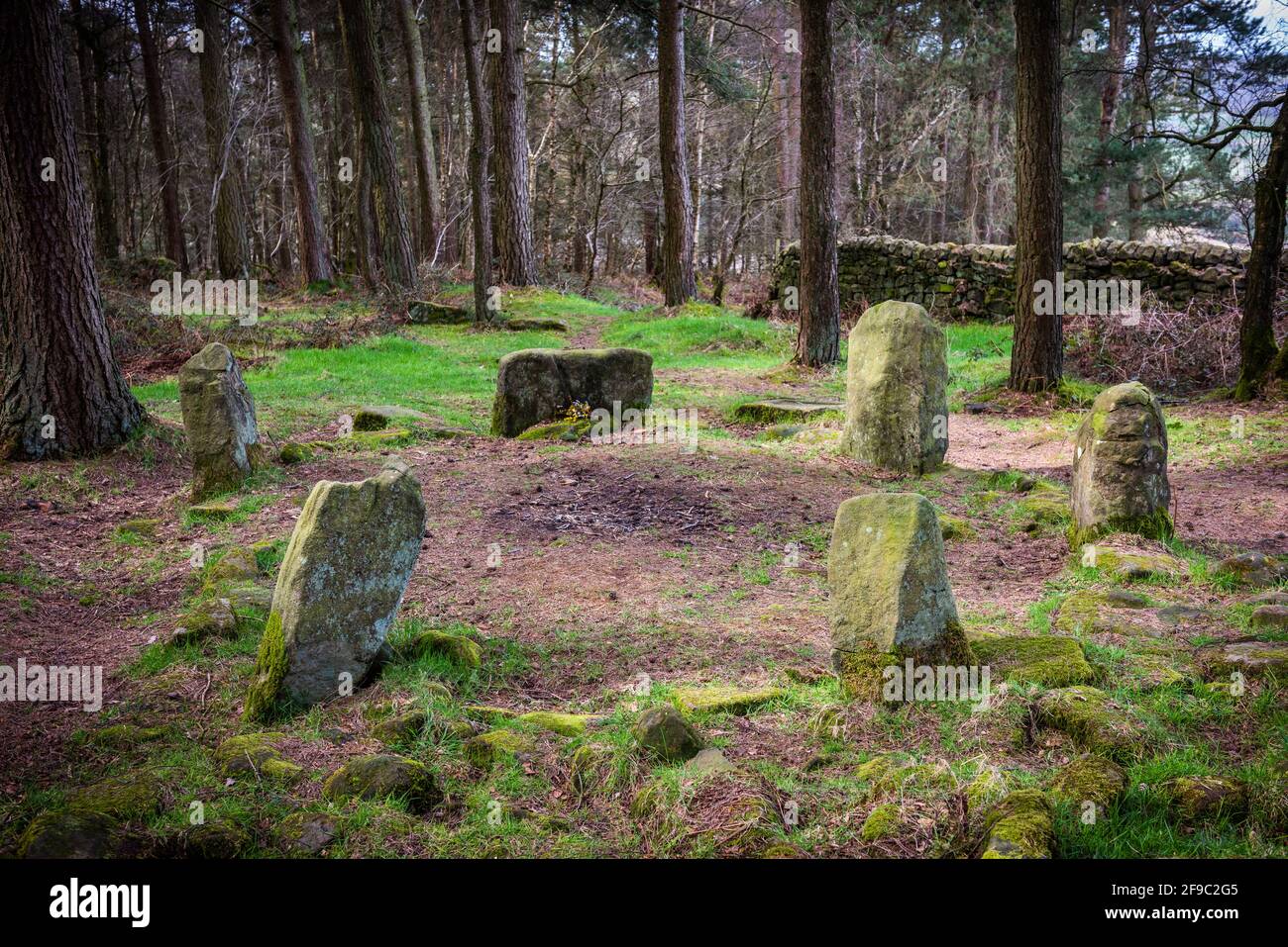 Doll Tor Stone Circle on the edge of Stanton Moor in the Peak District ...